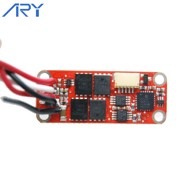 Cable Assembly 2981